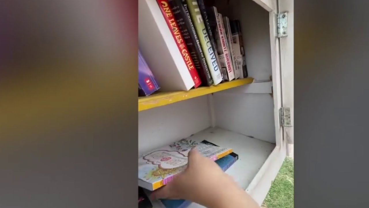 Project aims to inspire readers and broaden access to books