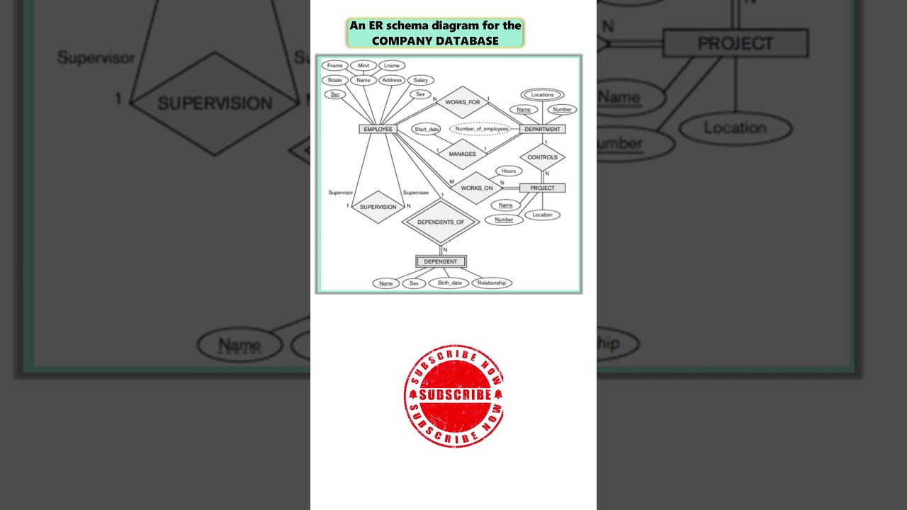 COMPANY DATABASE | ER SCHEMA DIAGRAM #computerscience #bca #dbms #datamanagement