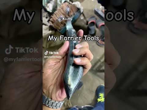 LATEST LOOP HOOF KNIFE COLLECTION 2023 | MY FARRIER TOOLS CHILE SHIPMENT #equinelife #farrier