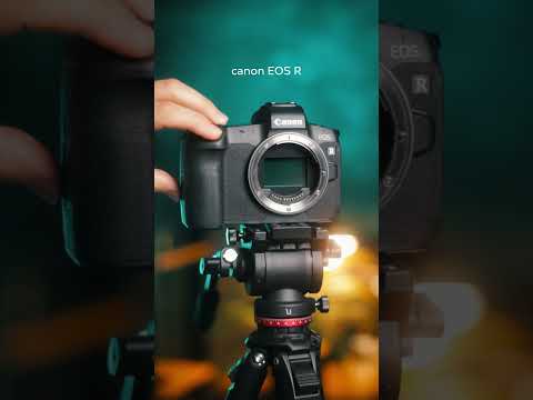 CANON RP VS R VS R6MKII VS R10