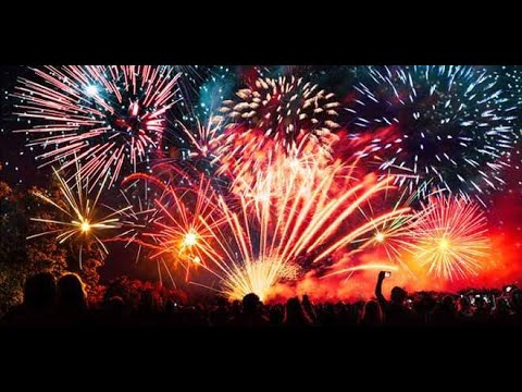 PESO Explosives Rules, 2008 - FORM LE-5 - Licences to possess and sale from a shop,