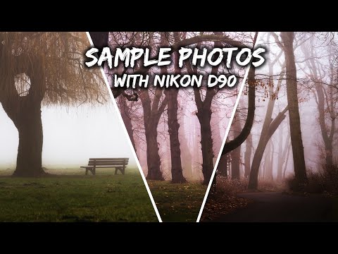 SIGMA SUPER TELEPHOTO Lens 70-300mm | SAMPLE PHOTOS with Nikon D90 | ZOOM Lens | Lightroom