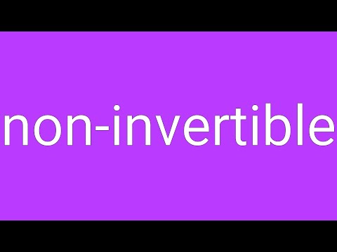 Non-Invertible Definition & Meaning