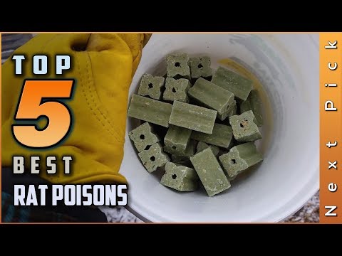 Top 5 Best Rat Poisons Review in 2025