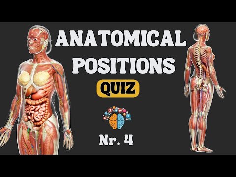 Master Anatomical Positions and Directional Terms in Minutes! Quiz #4