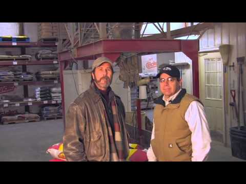 From Pod to Plate: Soy Processing