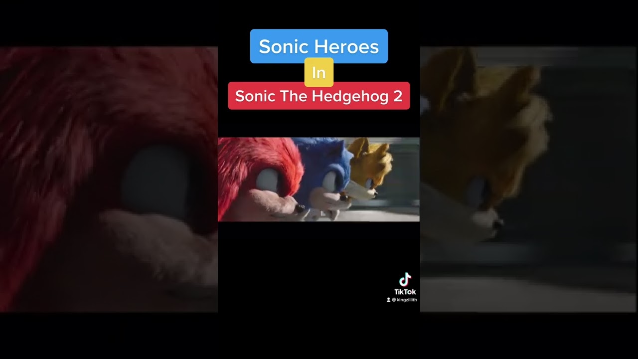 Sonic Heroes Reference in Sonic The Hedgehog 2