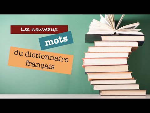 📚 Les Nouveaux Mots Français #2