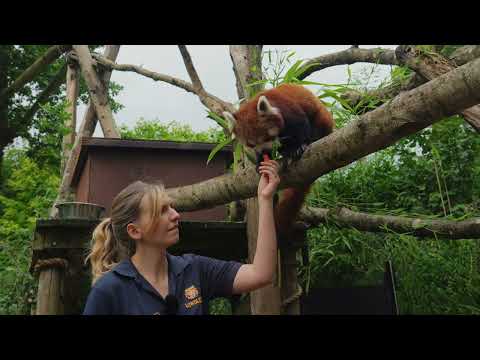 2024 at Longleat