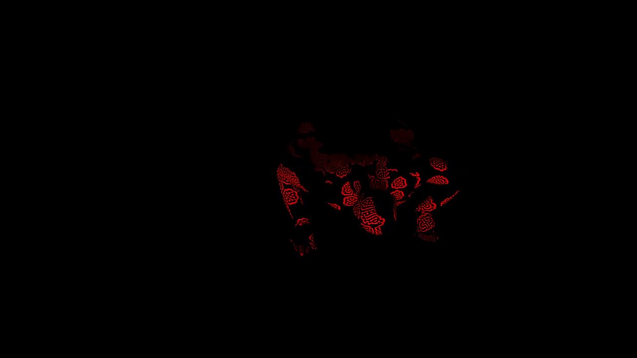 Audio-Reactive Reaction-Diffusion