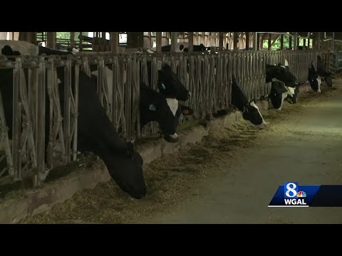 Oregon Dairy hosts Family Farm Days