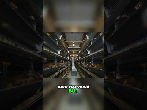 Bird Flu Conspiracy: Are Egg Prices Artificially Inflated? #Exposed