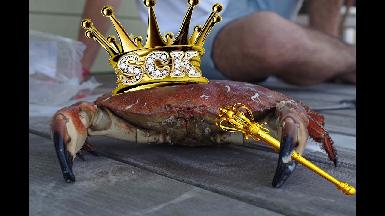 Studio Morey - Supreme Crab King