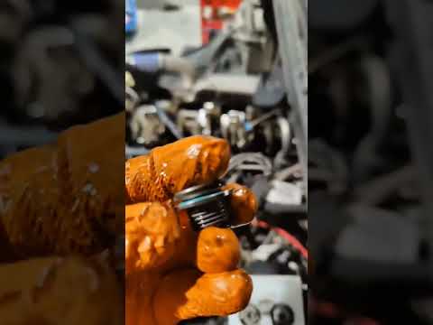 Fuel pressure relief valve removal and installing plug Volvo D13