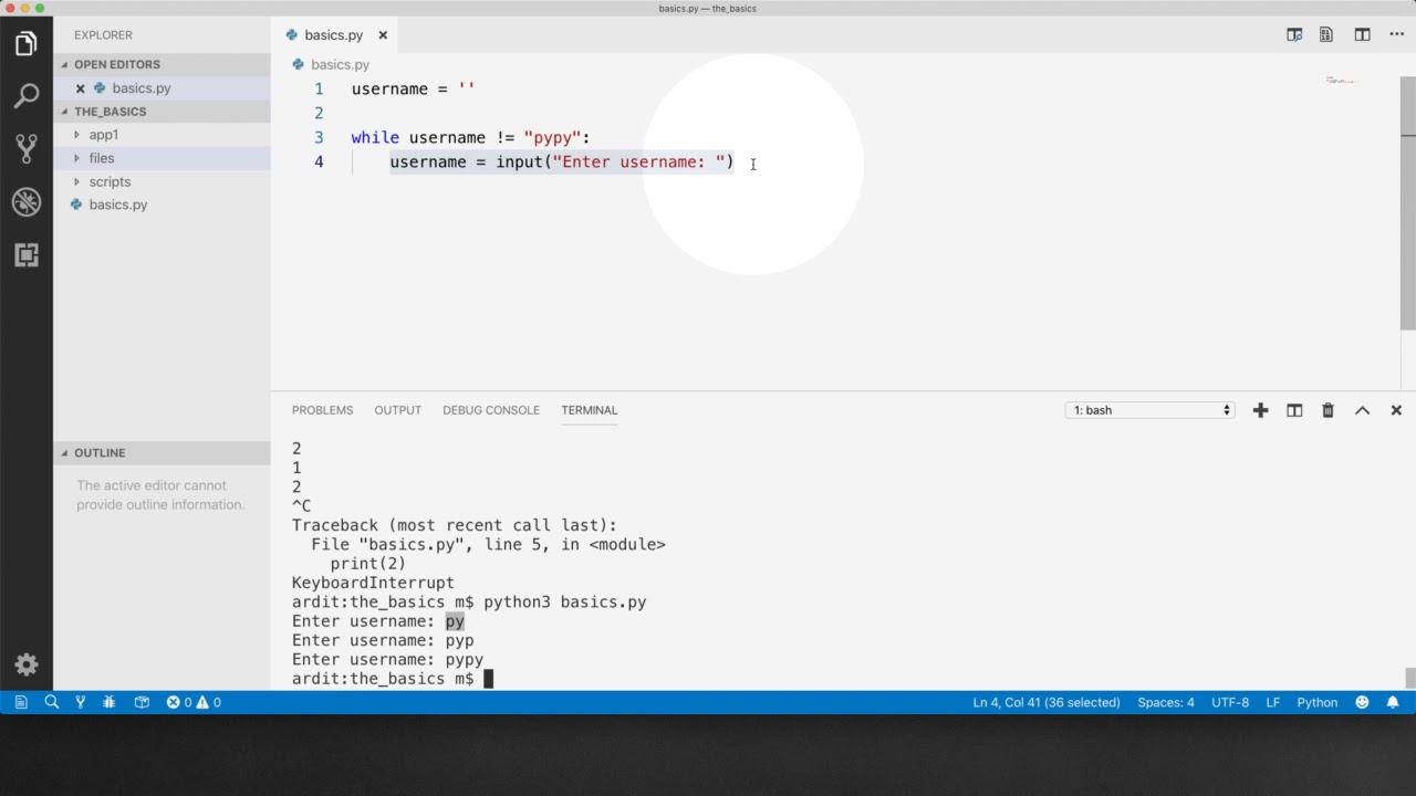 36 While Loop Example with User Input | The Basics Loops