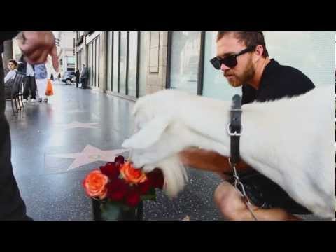 The Surfing Goat, Goatee and Me 2 (feat. Pismo the Kid)