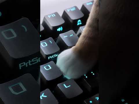 #ROG Monitors naming...🤔