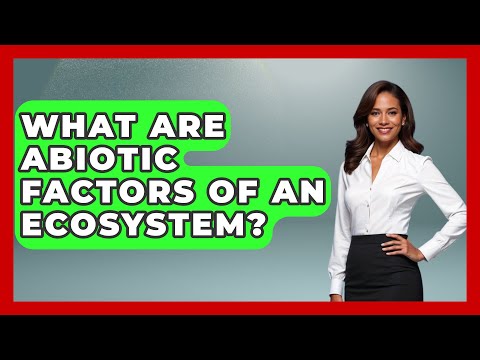 What Are Abiotic Factors Of An Ecosystem? - Biology For Everyone