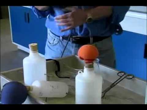 Chemical Reactions of Ethanol