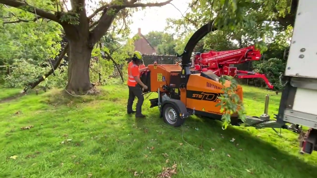 Tree surgeon website video