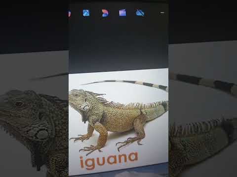 Learn Words That Start With Letter I