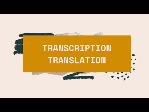 Transcription:Translation