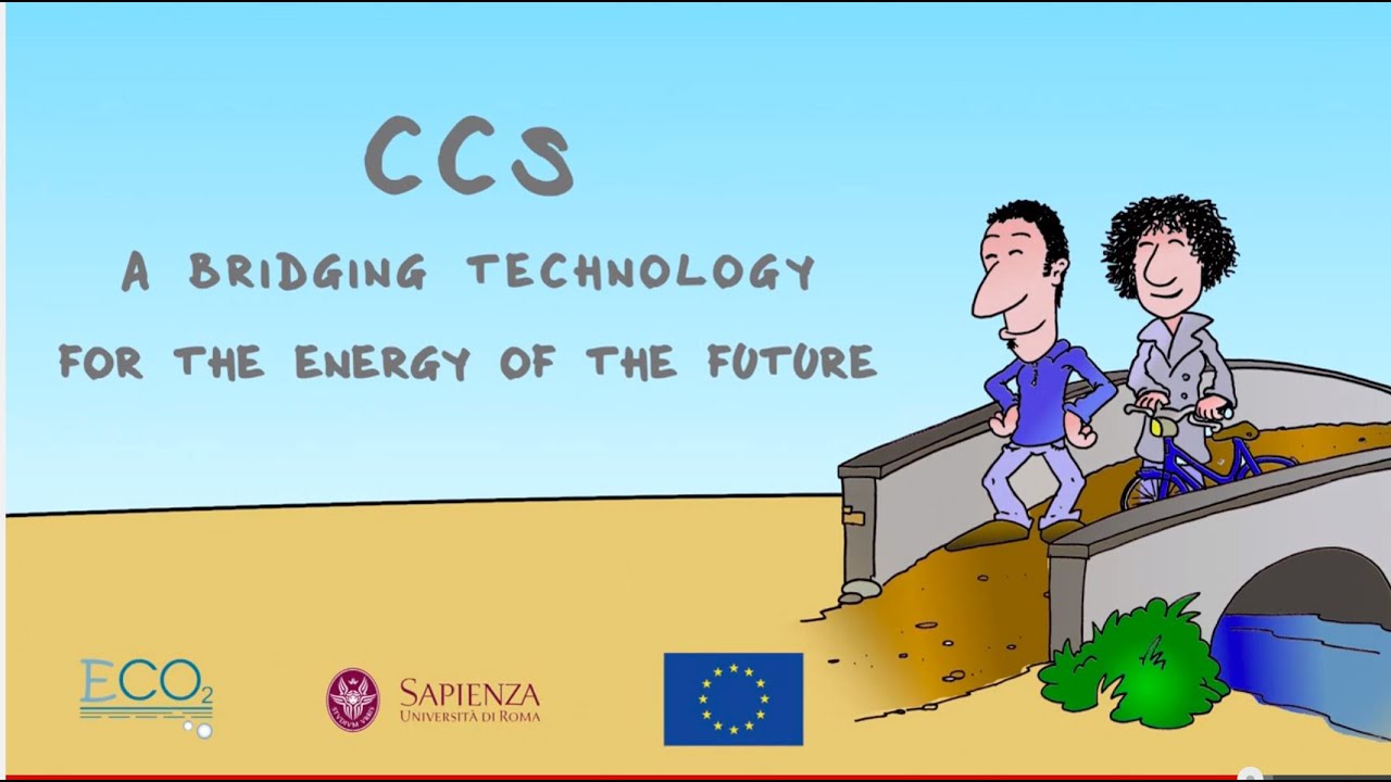 CCS - A Bridging Technology for the Energy of the Future