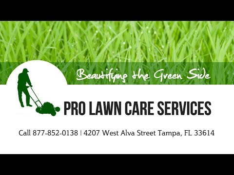 Pro Lawn Care Services Tampa Call (877) 852 0138 For Lawn Care Service in Tampa FL