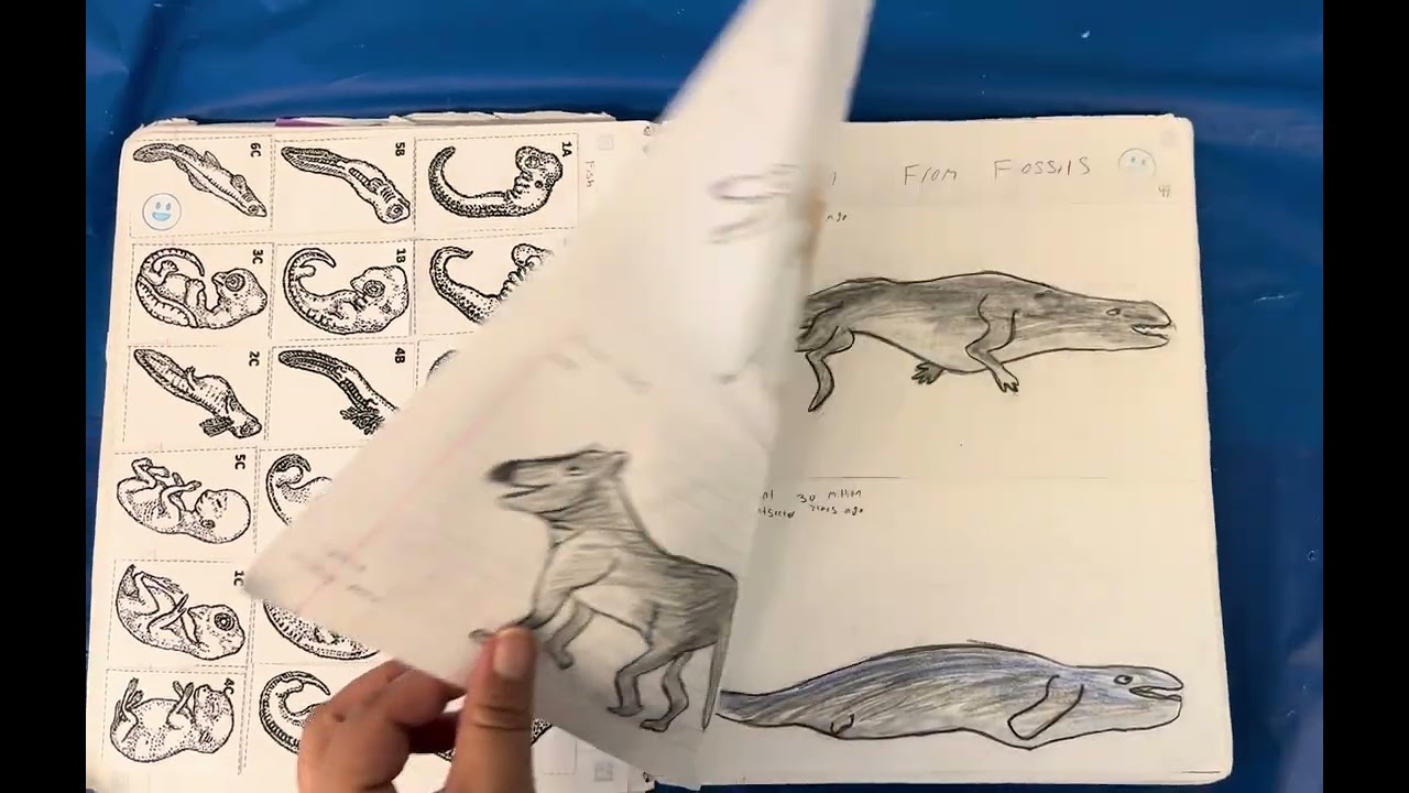 8th Grade Notebook-HMH