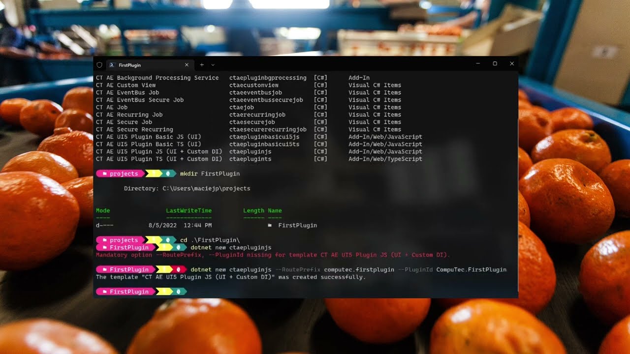 CompuTec AppEngine Plugin Templates