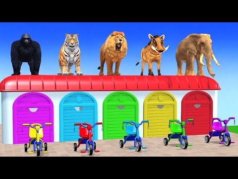 Long Slide Game With Elephant Gorilla Lion Tiger - 3d Animal Game - Funny 3d Animals