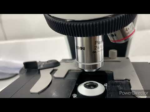 Olympus Microscope Detail Review (CX43)