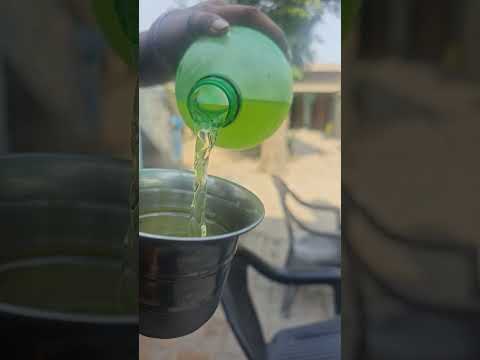 dew #dj #remix #song #cricket #bolleywoodsong #cricketlover
