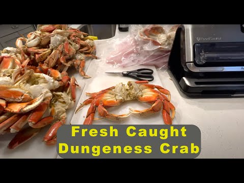 Fresh Caught Dungeness Crab Freezer Prep