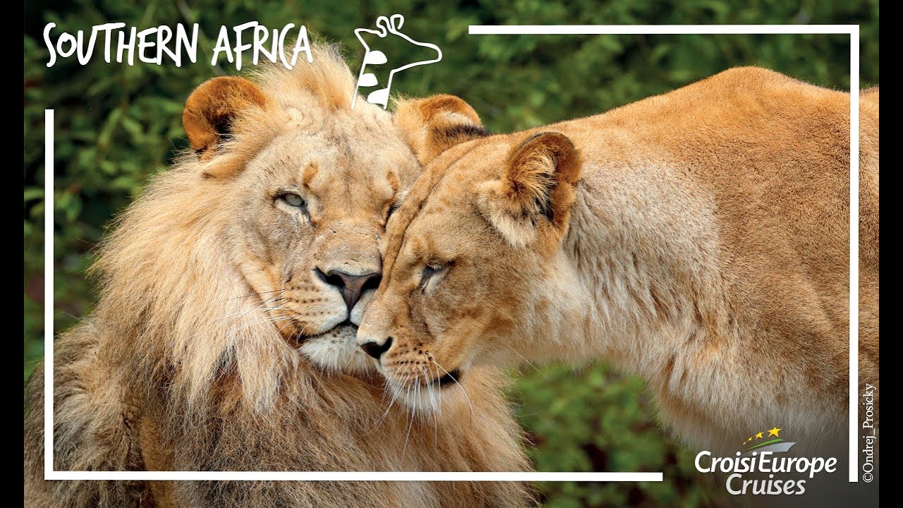 Southern Africa with CroisiEurope River Cruises