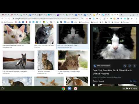 Using Images from Google Image search and citing your source properly