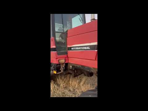 INTERNATIONAL 5488 For Sale