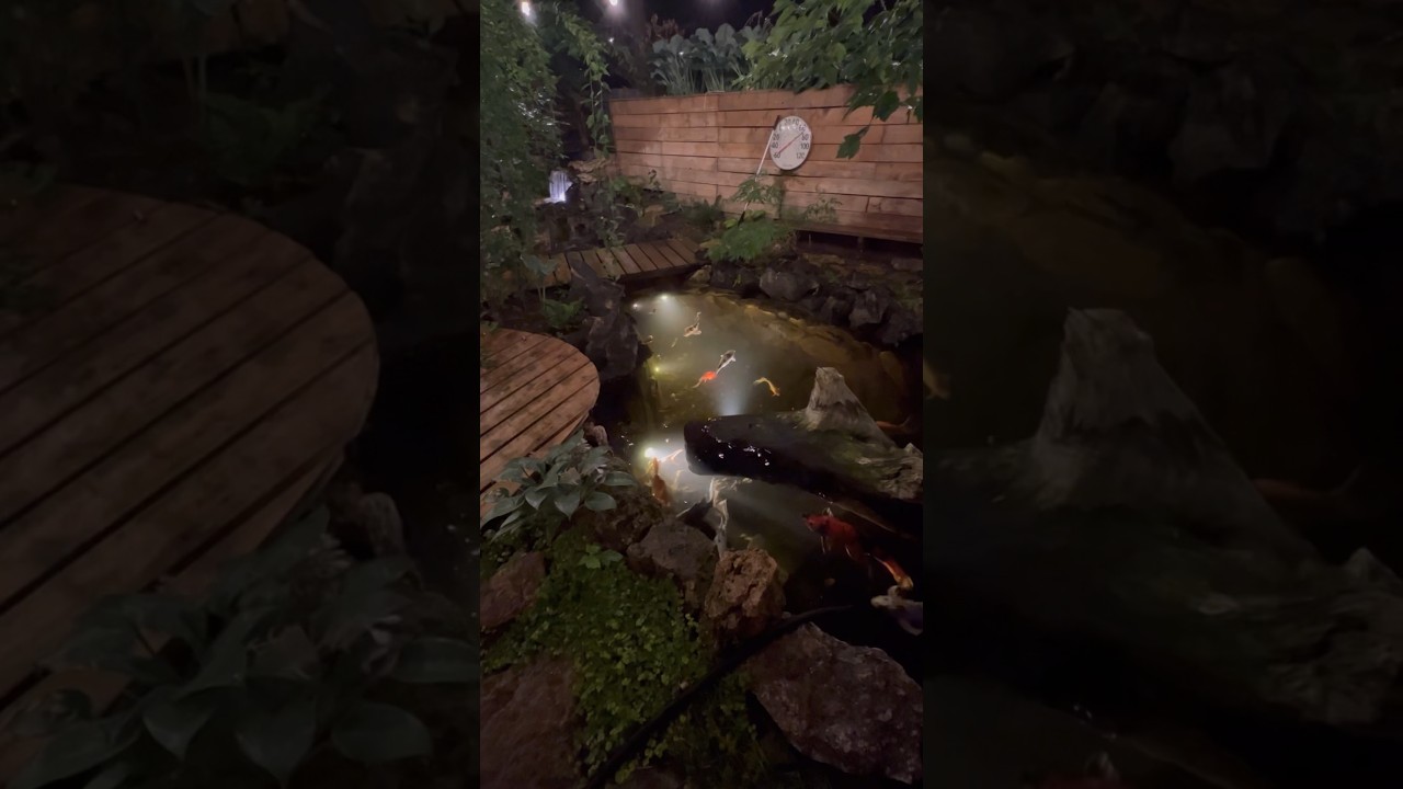 Koi pond build in under a minute. #koipond #koi
