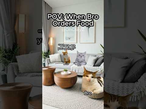 CAT MEMES ðą WHEN BRO ORDERS FOOD #relatable #cat #funny #food #shorts