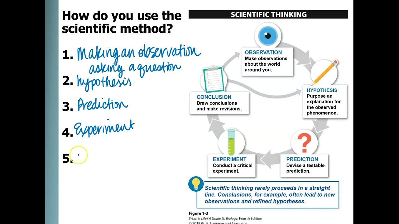 Bio100 CHapter 1 Part 1 Introduction to the Scientific Method