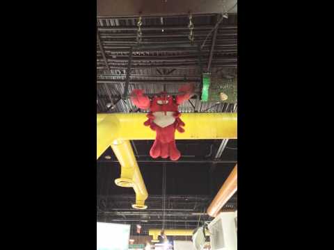 Hastings grocery store(4)