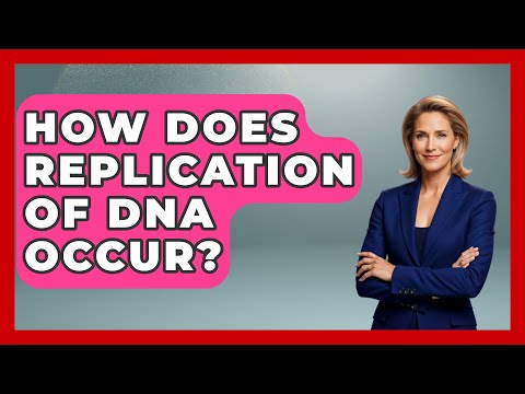 How Does Replication Of DNA Occur? - Biology For Everyone
