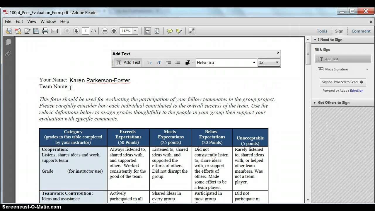 How to Complete a Group Project Evaluation Form
