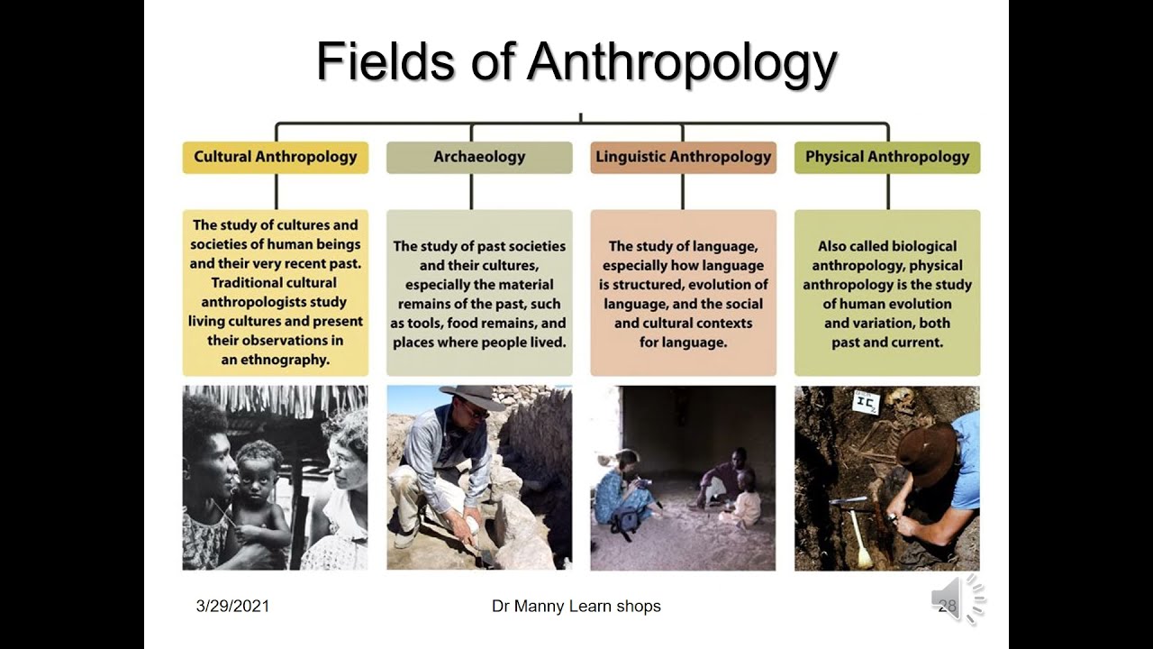 Dr Manny Learnshop Introduction to Behavioral sciences