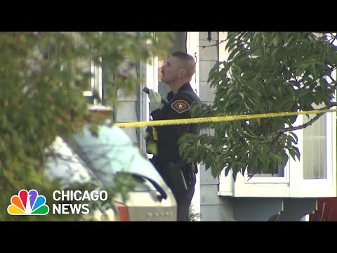 Romeoville family murder: 2 adults, 2 kids found murdered; killer not among victims