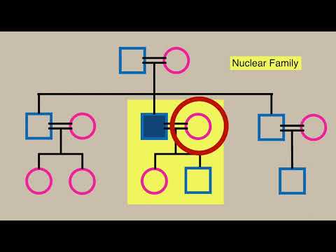 What is the Nuclear Family?