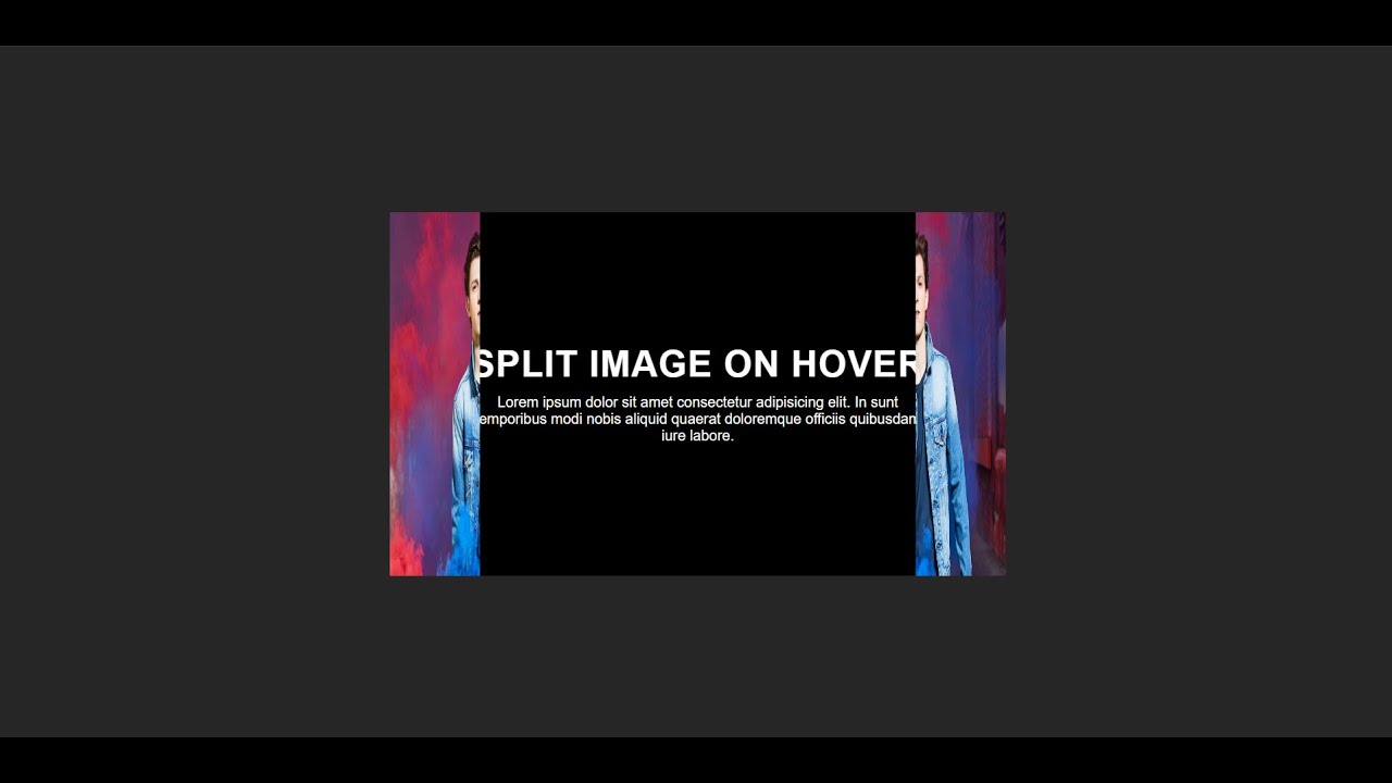 Split Image Effect On Hover using HTML &CSS