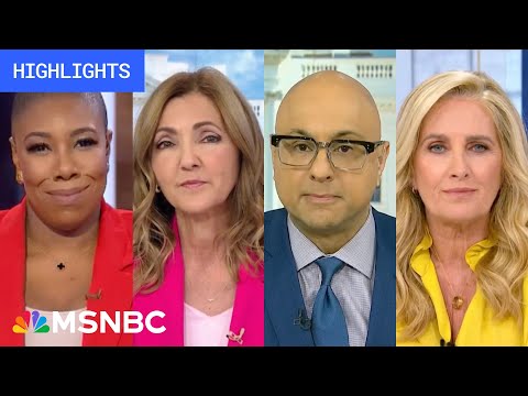Countdown to the 2024 election: Day 100 | MSNBC Highlights