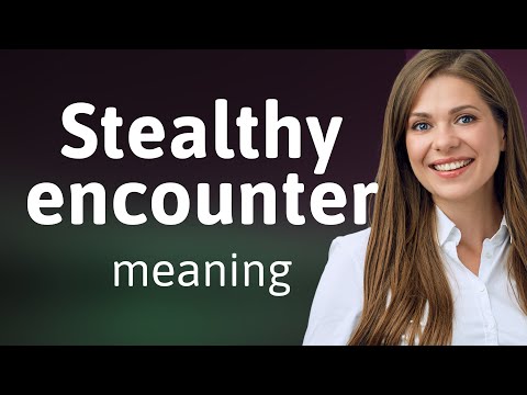 Understanding "Stealthy Encounters" in English
