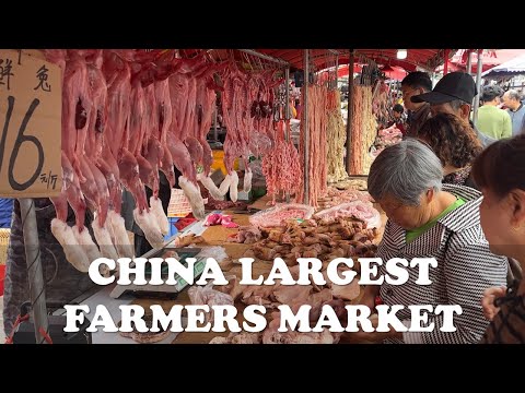 CHINA’S LARGEST FARMER’S MARKET IN 2025 | MORE THAN WHAT YOU EXPECTED